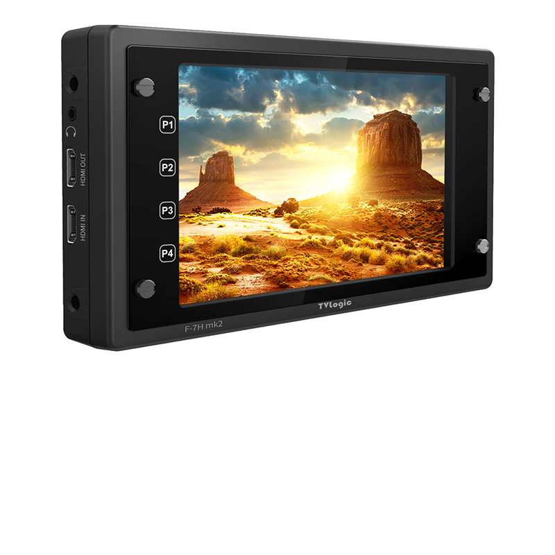 Field Monitors - Hofmann